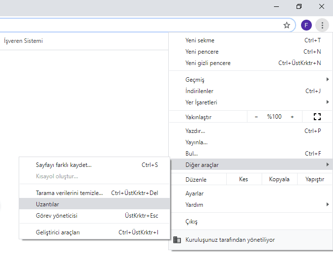 Chrome Eklenti Nasıl Güncellenir? – Webdunya